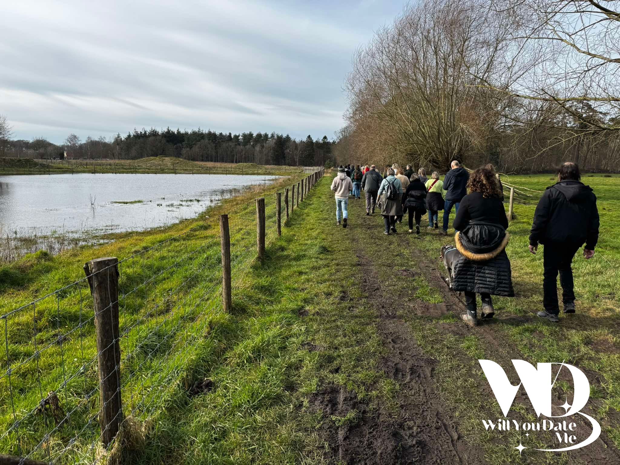 Will You Date Me - Will You Date Me